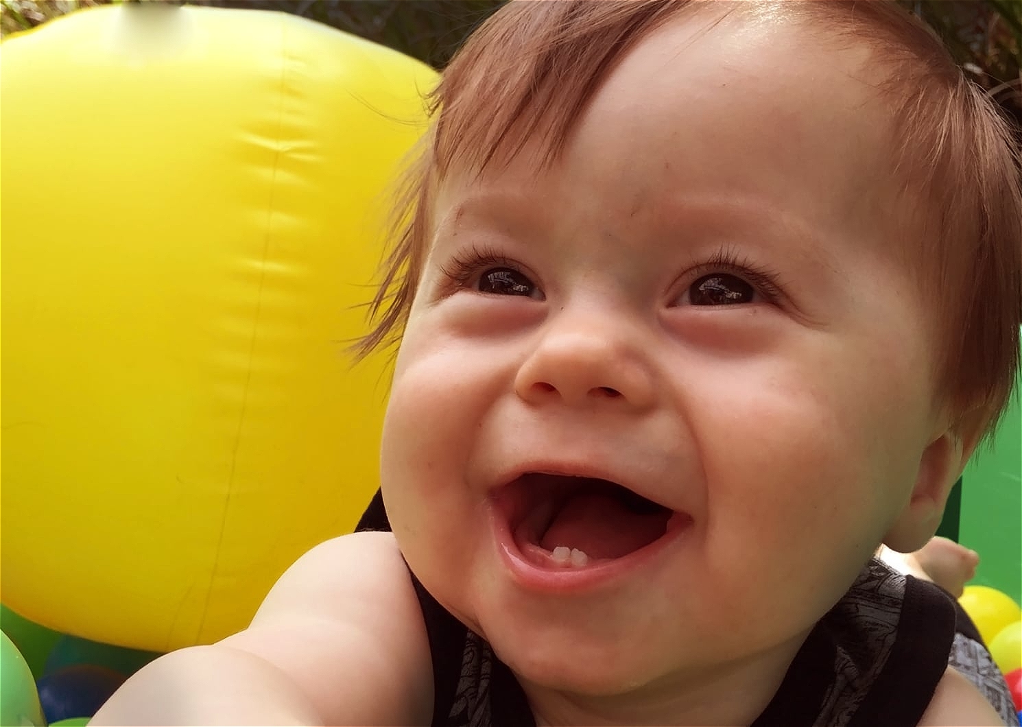 Bubba Licious | Sydney Fringe